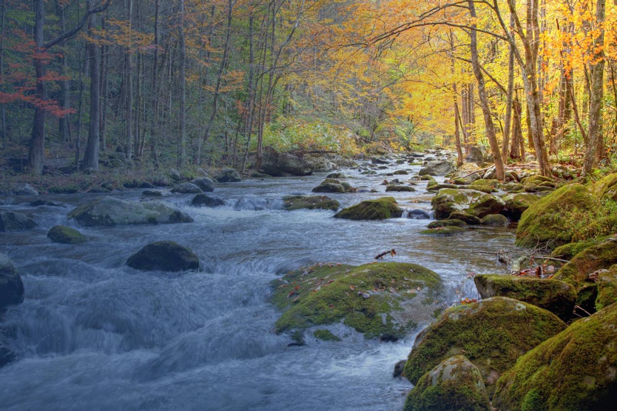 Rivers & Streams | One Earth